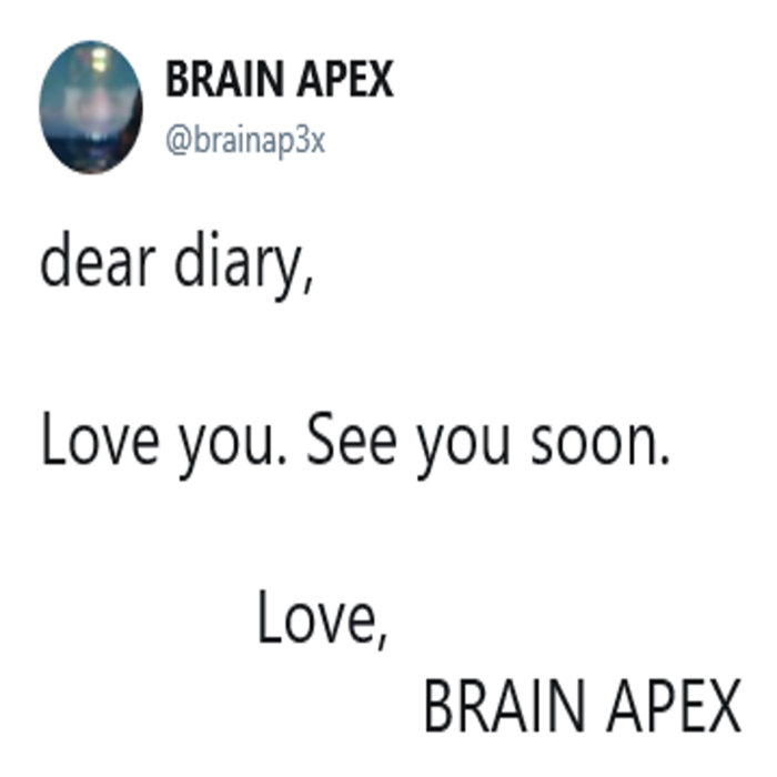 dear diary | BRAIN APEX