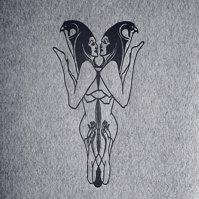 Skinning The Shell (Meditation) | Longomic