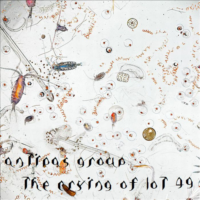 the crying of lot 49 | antipas group