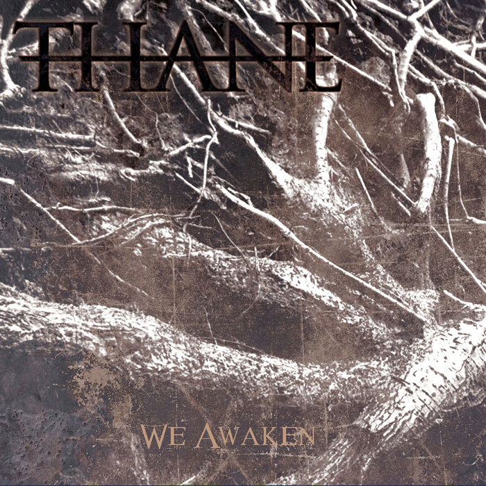 WE AWAKEN | THANE