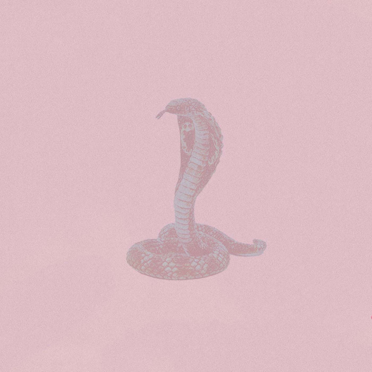 Michael Jordan's Greatest Hits - Lint (Cobrayama Remix) | COBRAYAMA