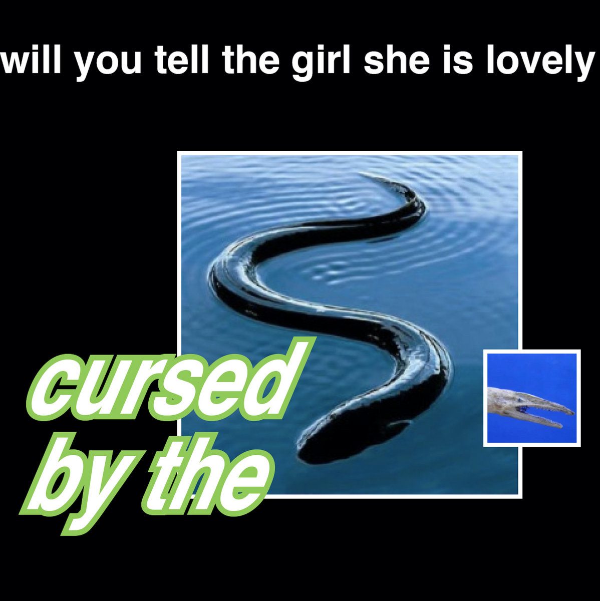 will you tell the girl she is lovely | cursed by the
