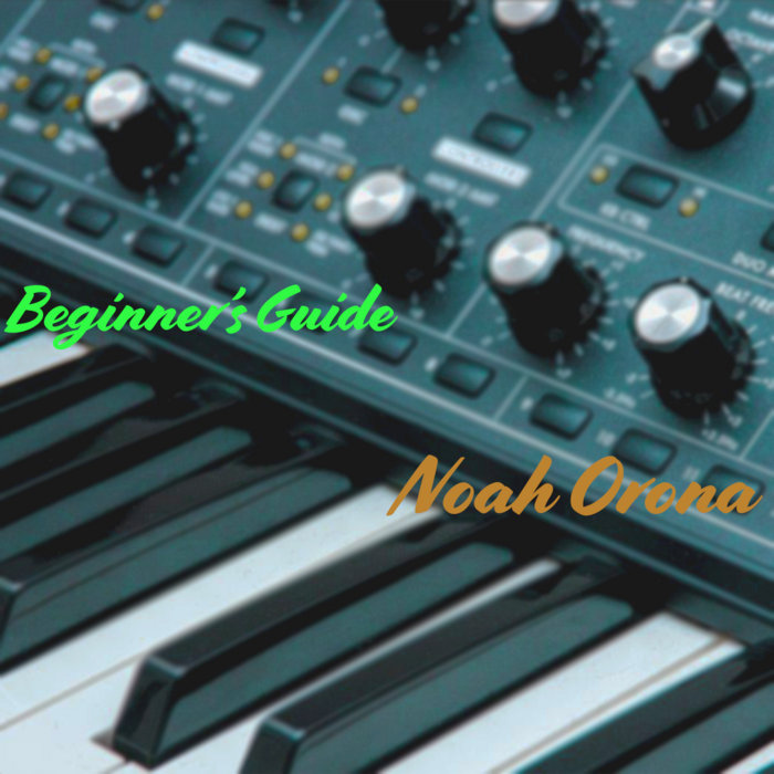 Beginner's Guide | Noah Orona