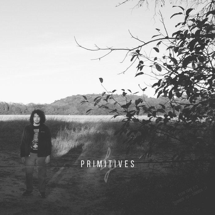 Primitives | Brant Goodman | Gray Sky Division
