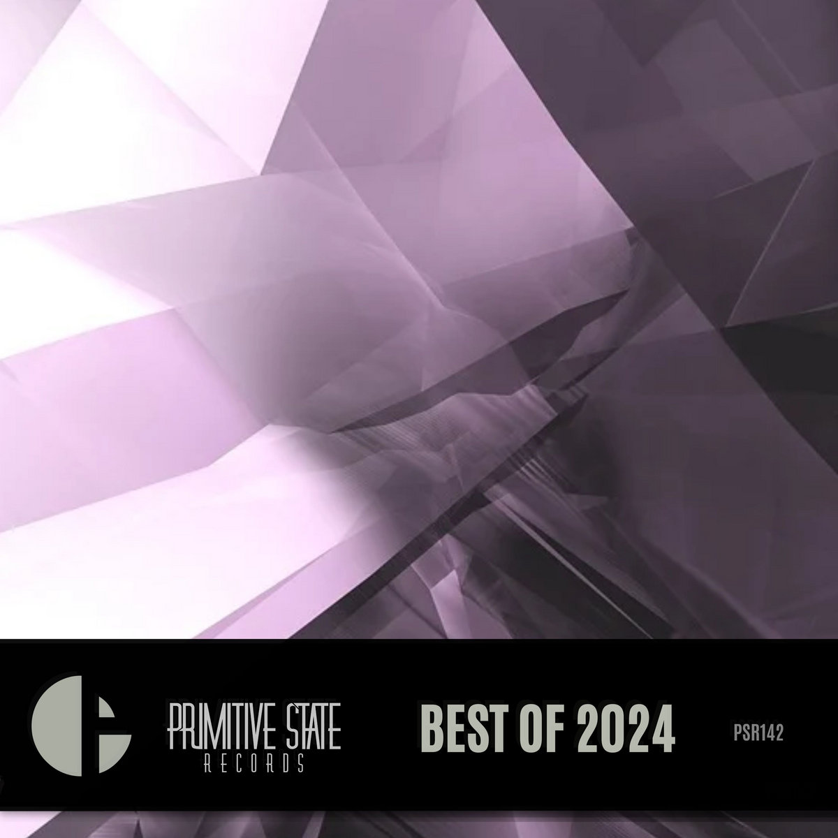 Best Of Primitive State 2024 | Various | PrimitiveState Records