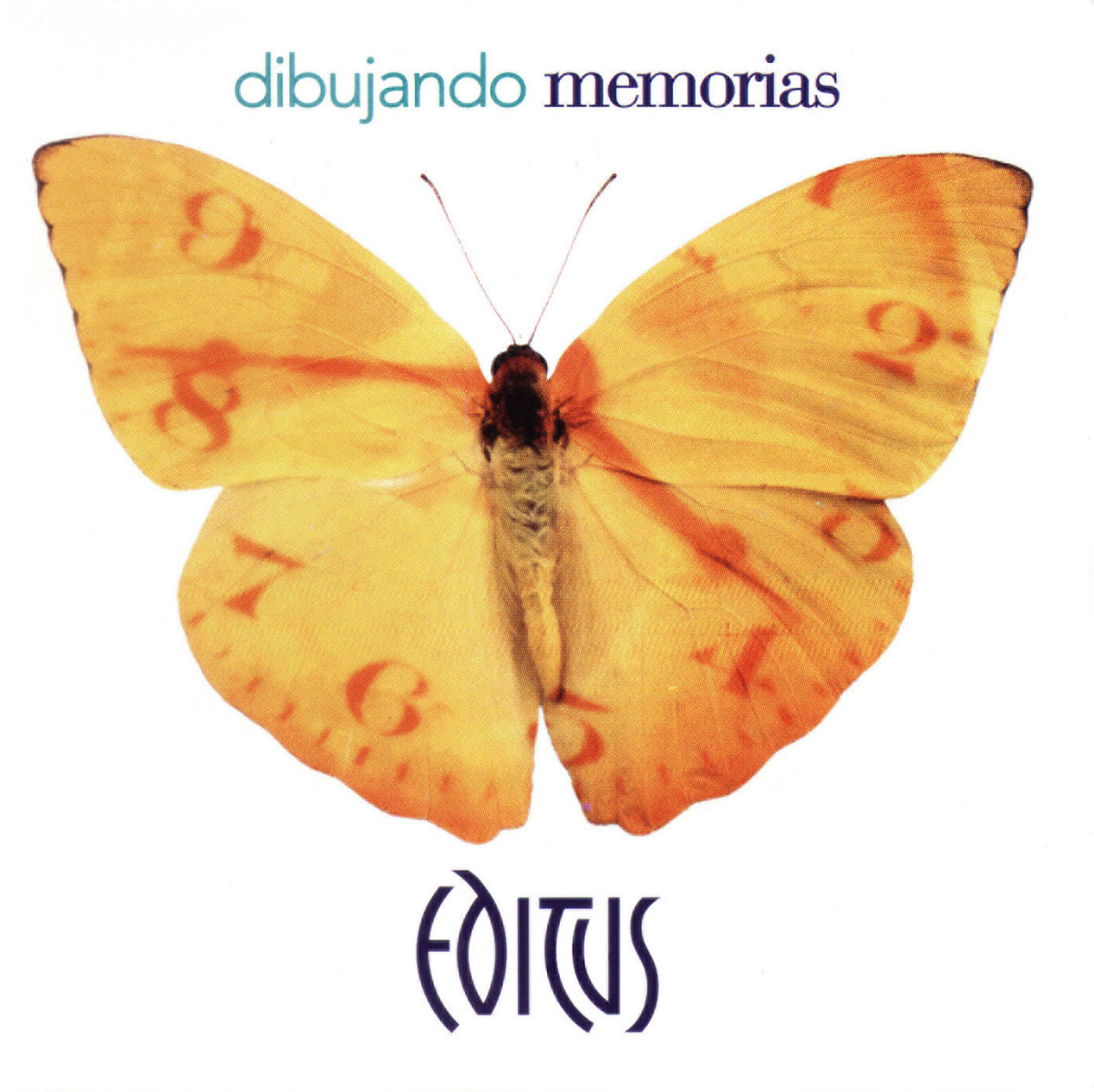 Dibujando Memorias | Editus