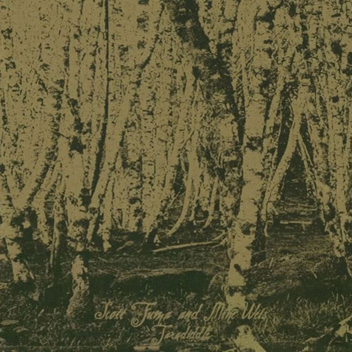 Taradiddle With Mike Weis | Scott Tuma