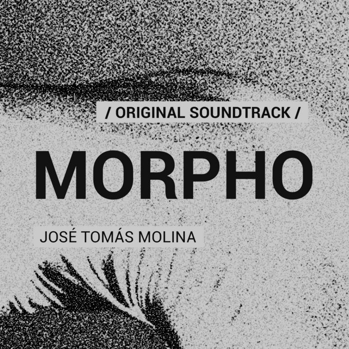MORPHO | José Tomás Molina