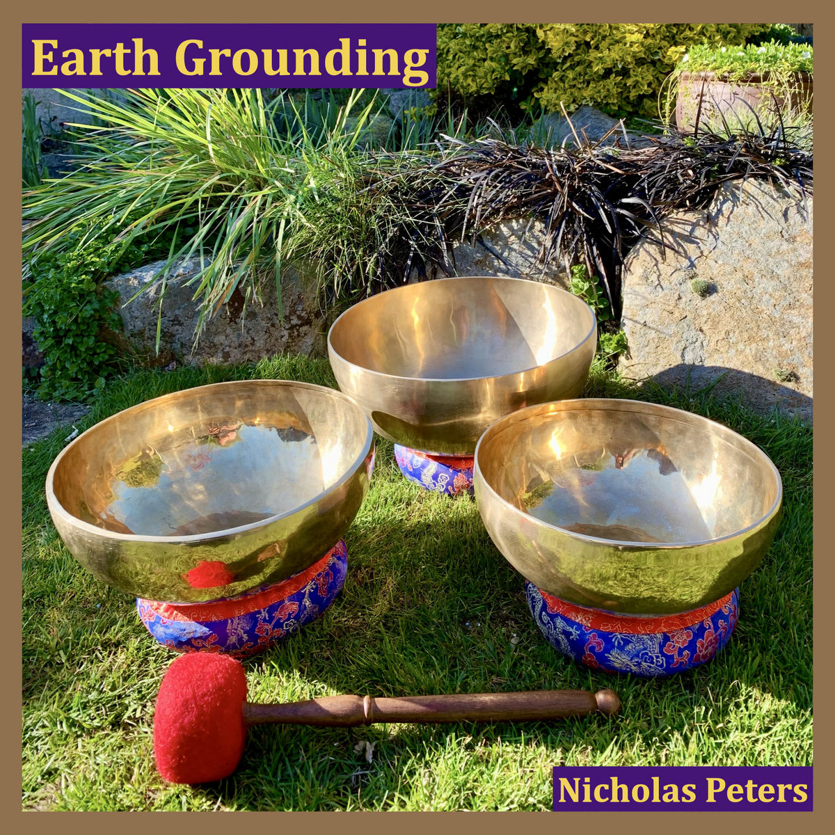 Earth Grounding | Nicholas Peters