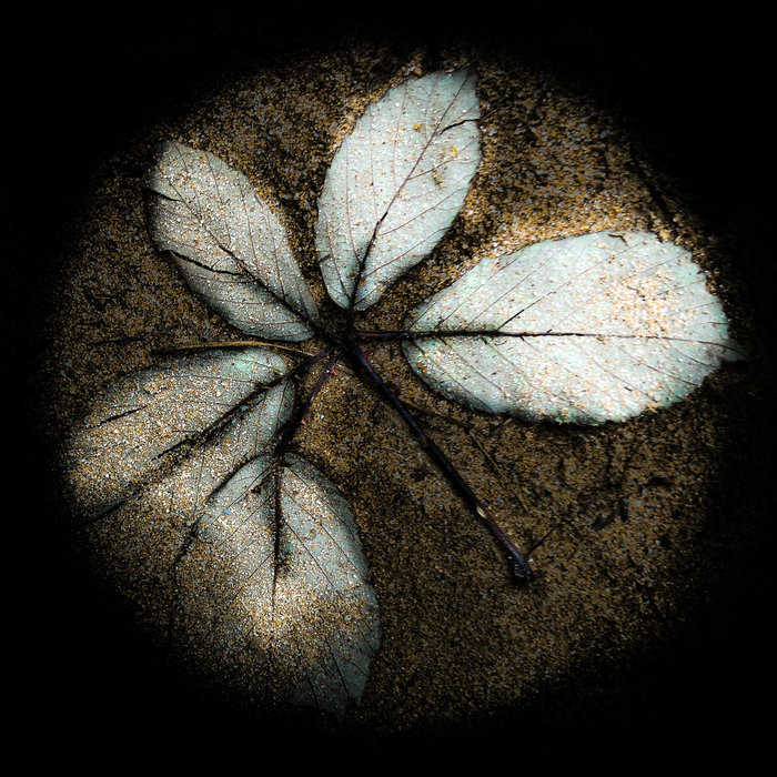 "Long Time Coming"The Satellite Dom EP 2024 | Adam Kroll Soundtracks