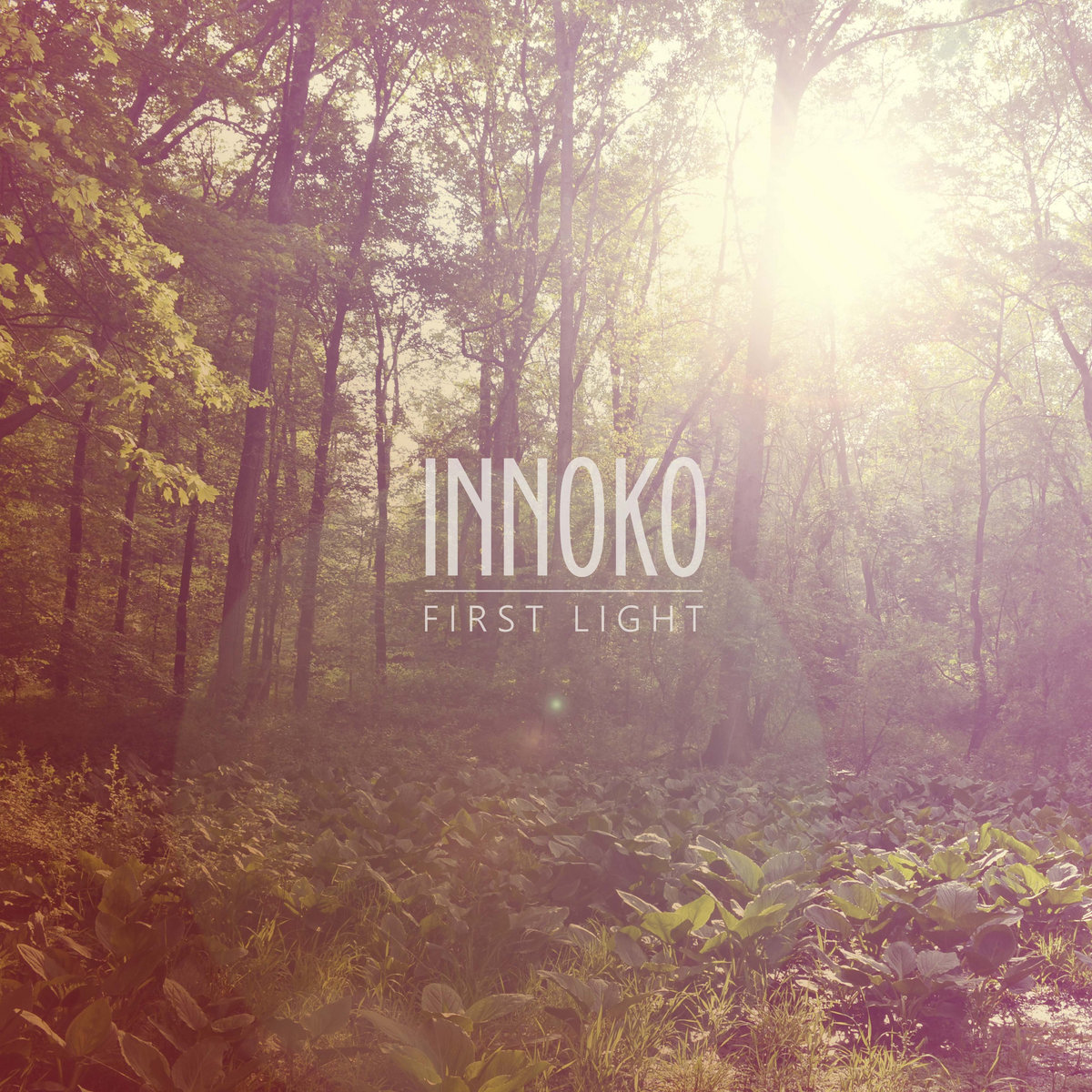 First Light | Innoko