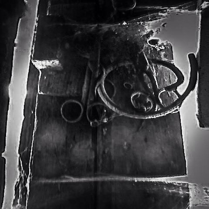 Morchia Antistatica | Black Panda Beach