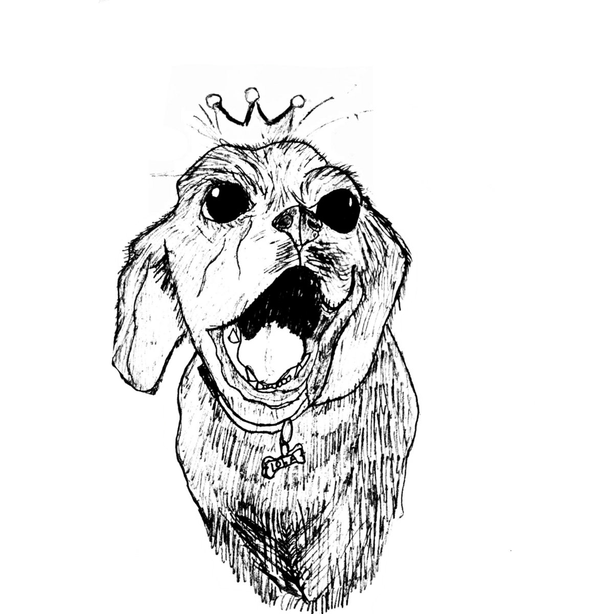 doggon' days | Excelsior High | Gecko Afterlife