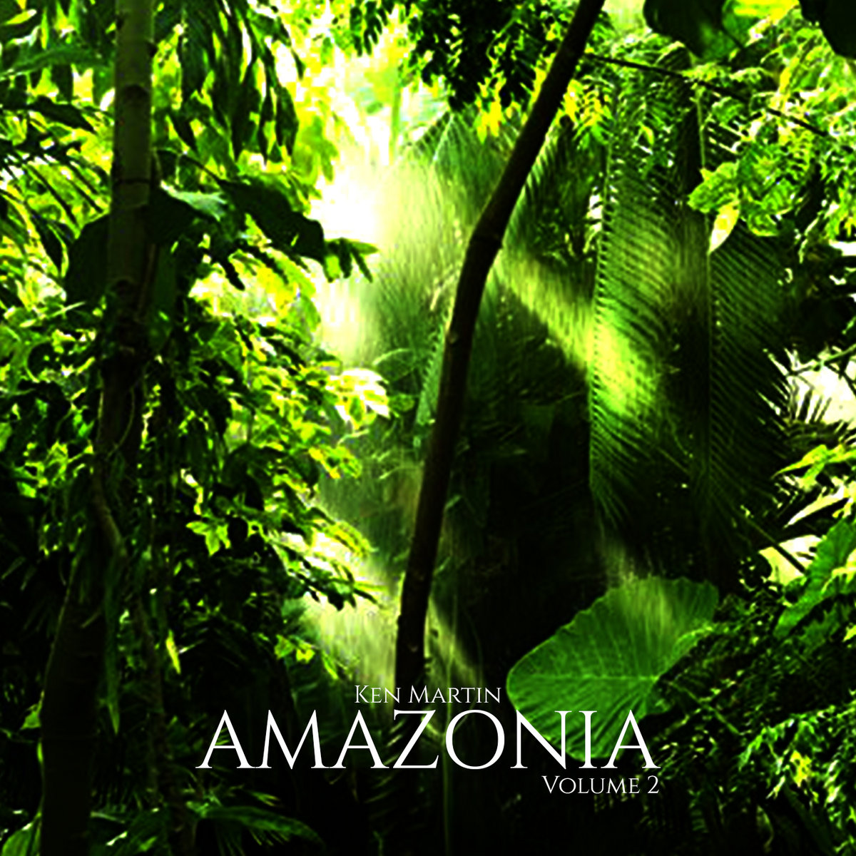 Amazonia Volume 2 Ken Martin