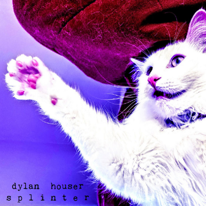 Splinter | Dylan Houser