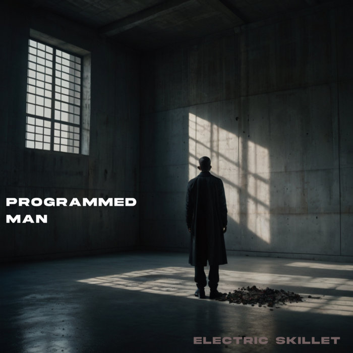 Electric Skillet | Programmed Man