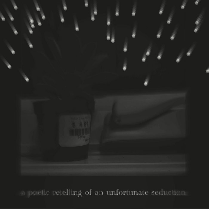 A Poetic Retelling of an Unfortunate Seduction | nigel howse & the funeral plans | The Silk Road