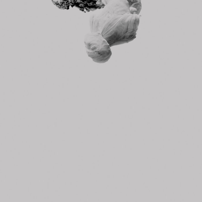 Texture I | Clusters | Champion Version
