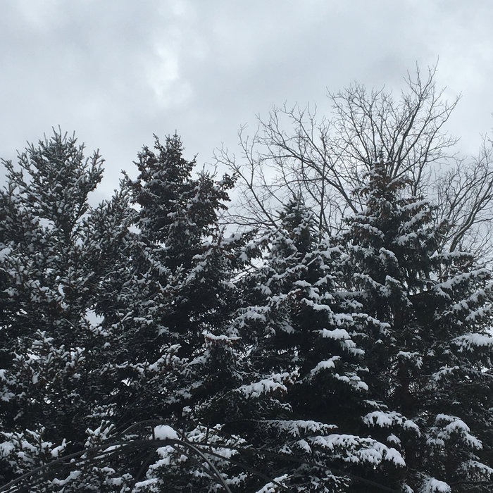 still snow | Cube Panda