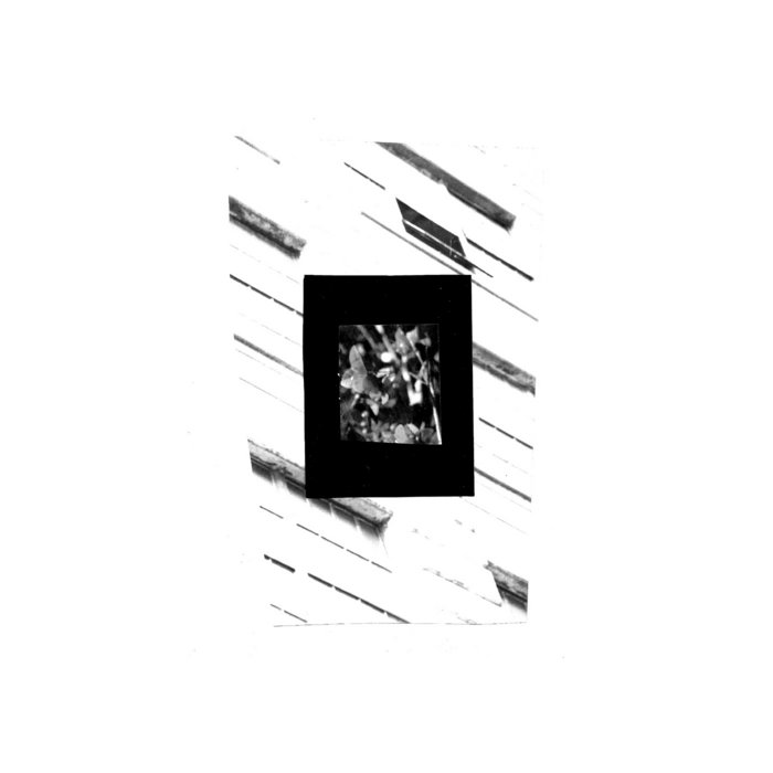 Void | Bride Wore Black | No Yearning