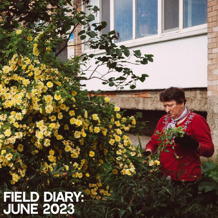 Field diary: June 2023 | various artists | brokentaperecords