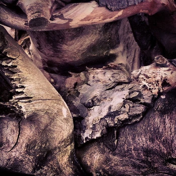 Tidewrack | The Knot | Nick Storring