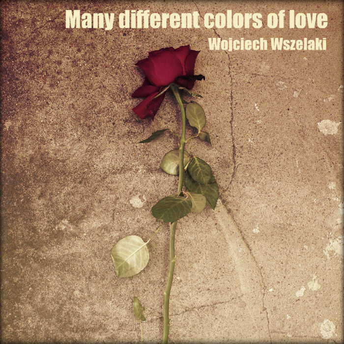 Many different colors of love | the-motyw