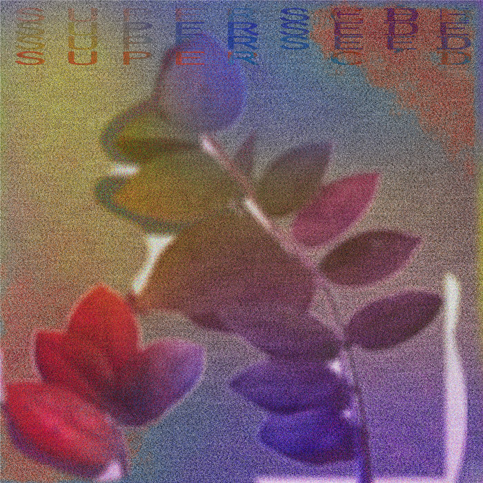 Catalyst | Gem and Coal