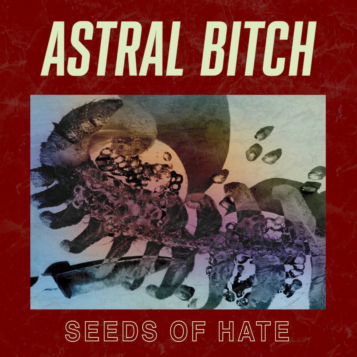 Seeds of Hate | Astral Bitch