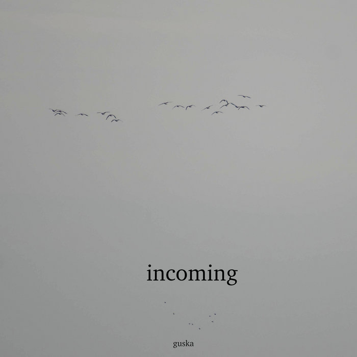 incoming | guska