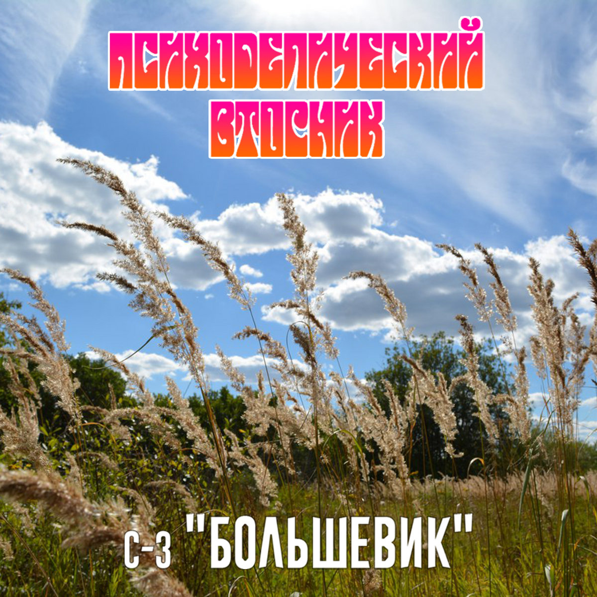 Sovkhoz "Bolshevik" (single) | The Psychedelic Tuesday ...