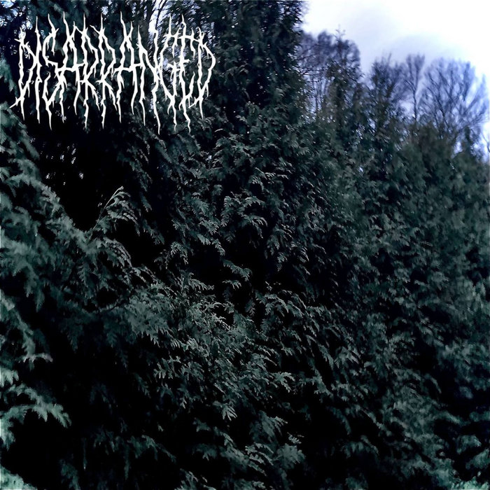 Voluspa | Disarranged Band