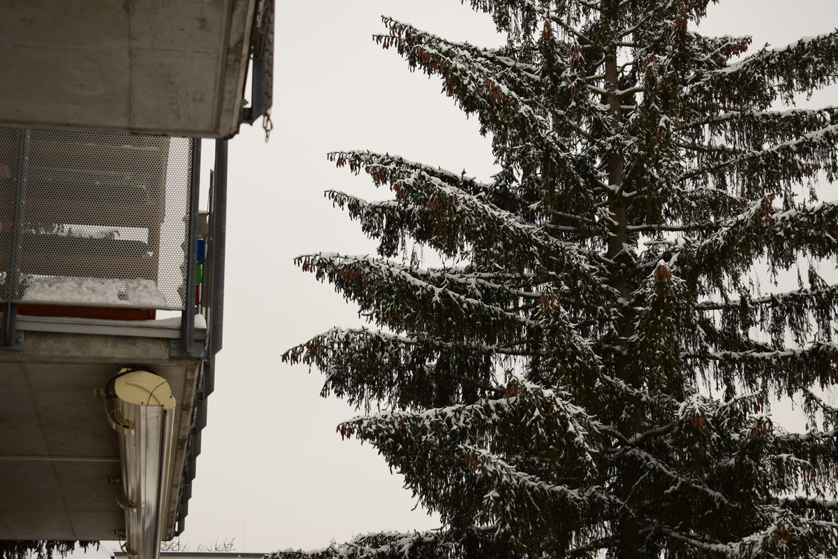 Ash Cakes | Candleface