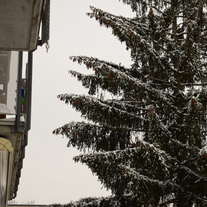 Ash Cakes | Candleface