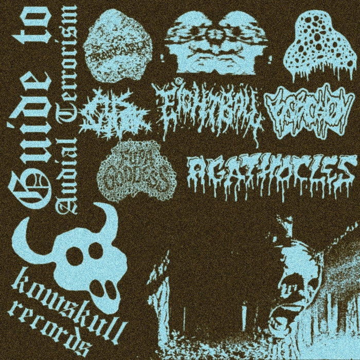 Guide to Audial Terrorism | Kowskull Records