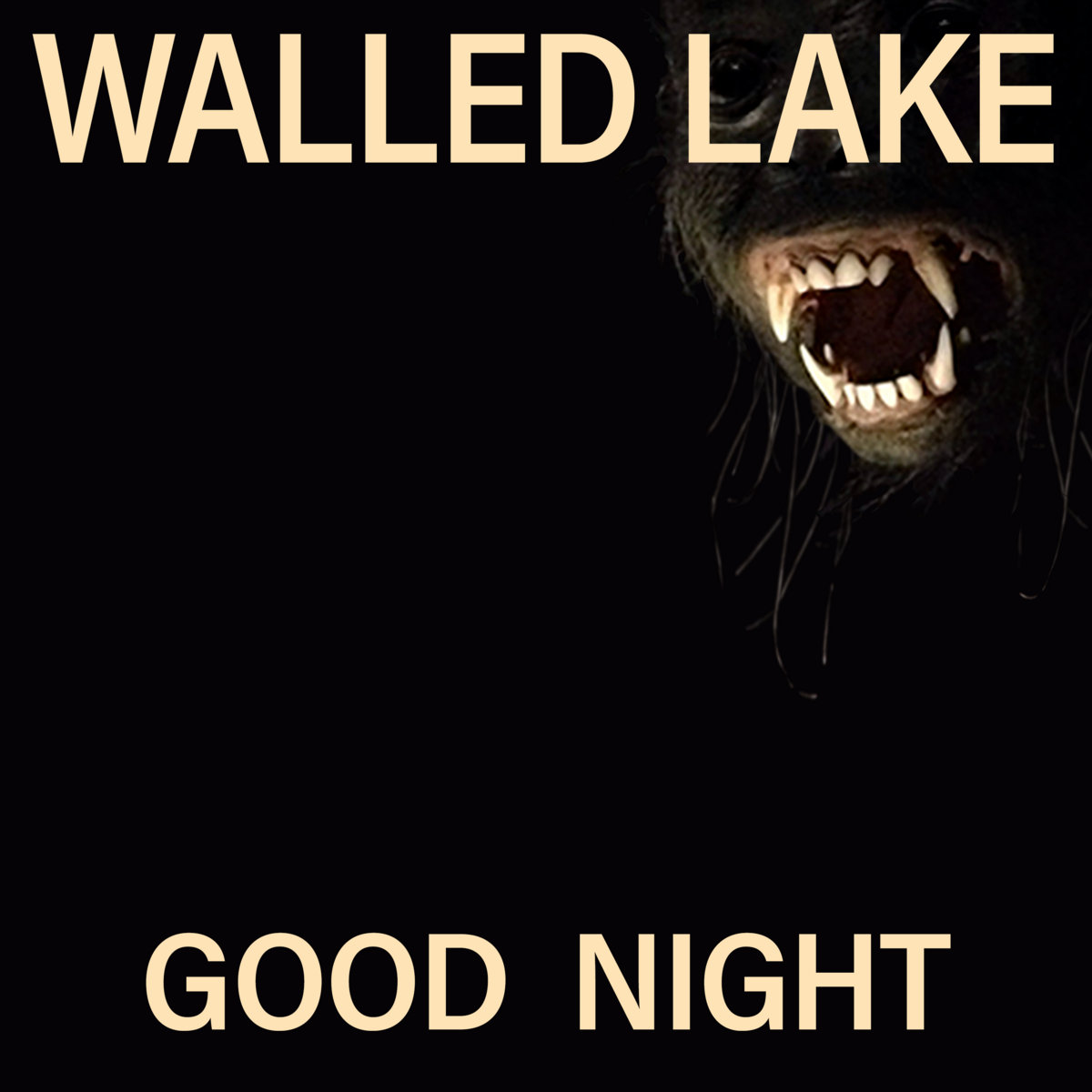 Good Night | Walled Lake