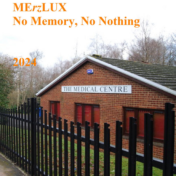 No Memory, No Nothing | Merzlux | Merzlabel