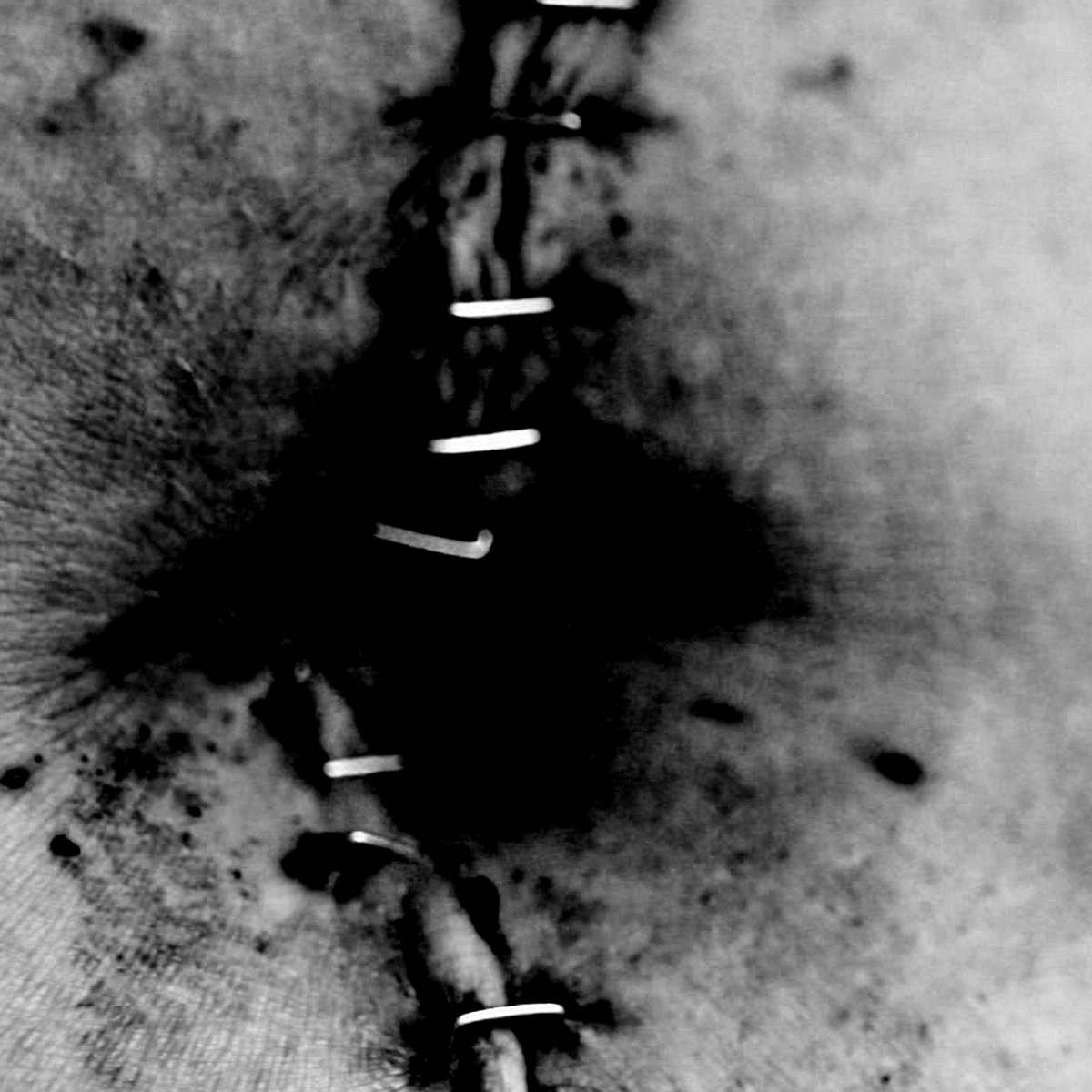 Pinching Yoda Cloud | Crab Smasher