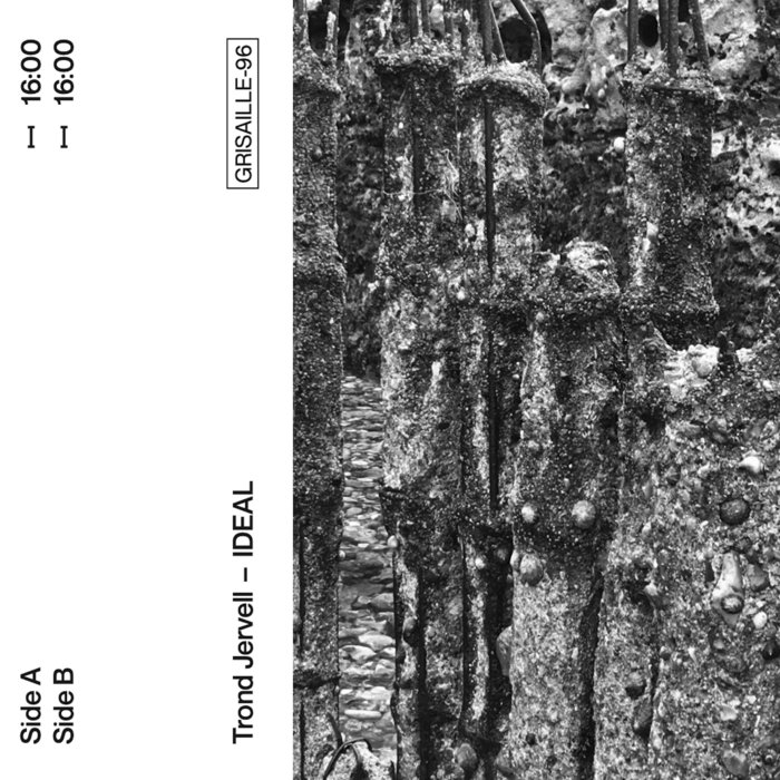 IDEAL | Trond Jervell | Grisaille