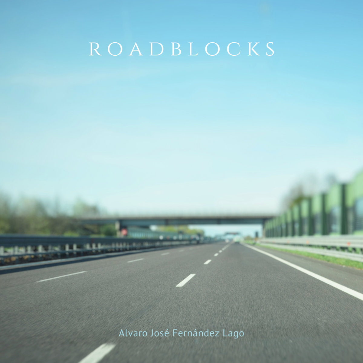 Roadblocks | Alvaro José Fernández Lago