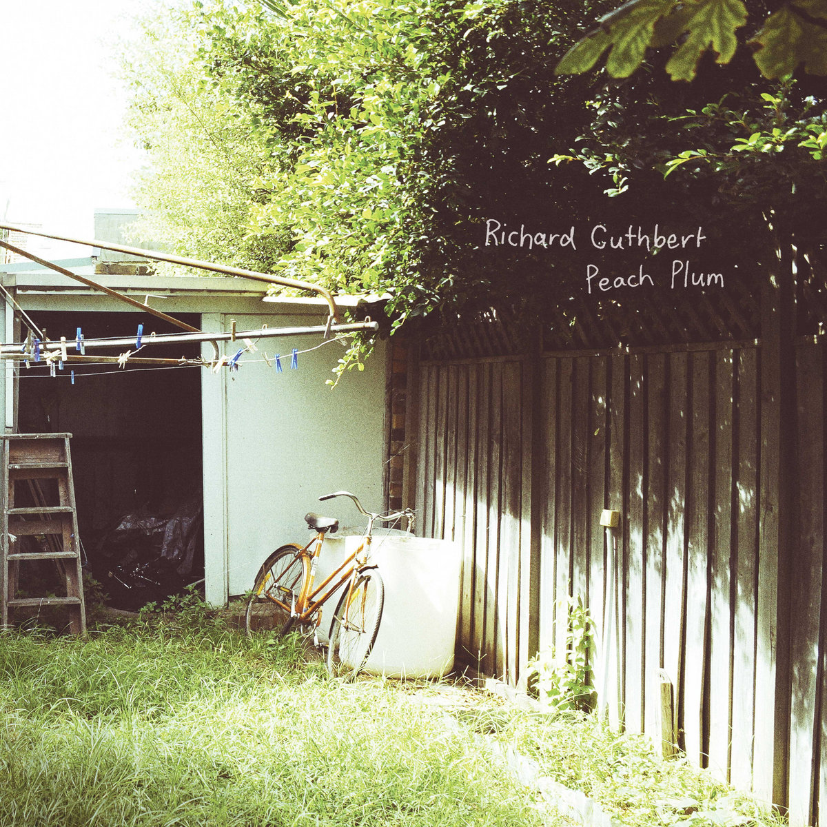 Peach Plum | Richard Cuthbert