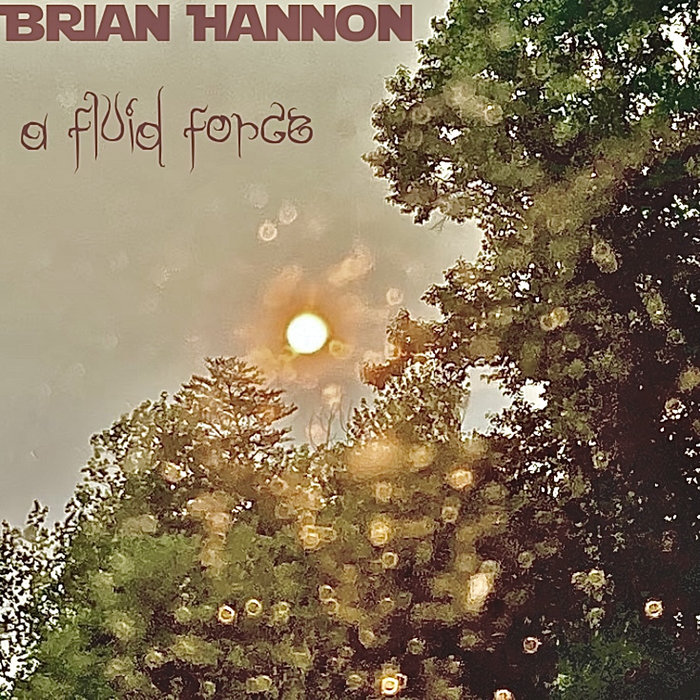 A Fluid Force | Brian Hannon