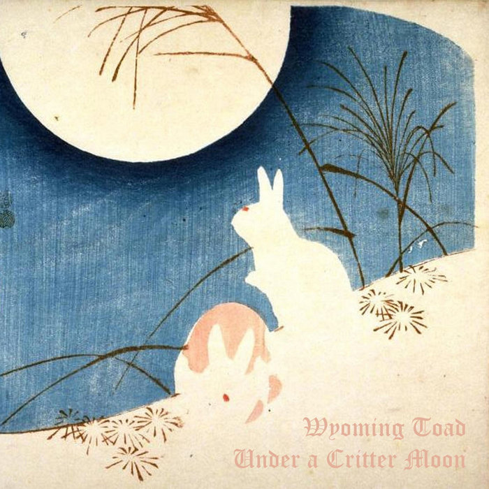 Under A Critter Moon | Wyoming Toad | Fiadh Productions