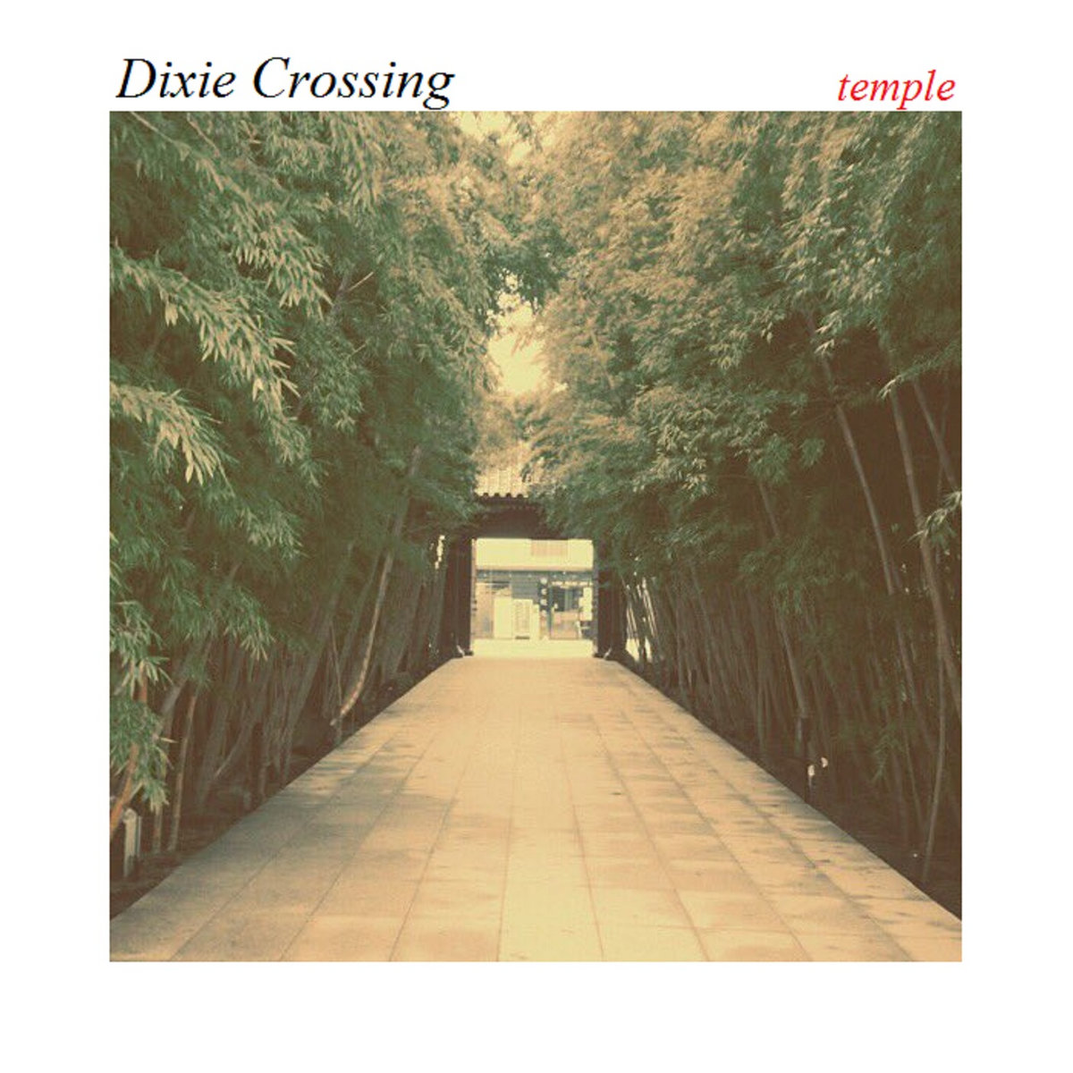 temple | Dixie Crossing