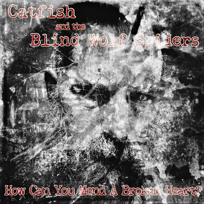 How Can You Mend A Broken Heart | Catfish and the Blind Wolf Spiders