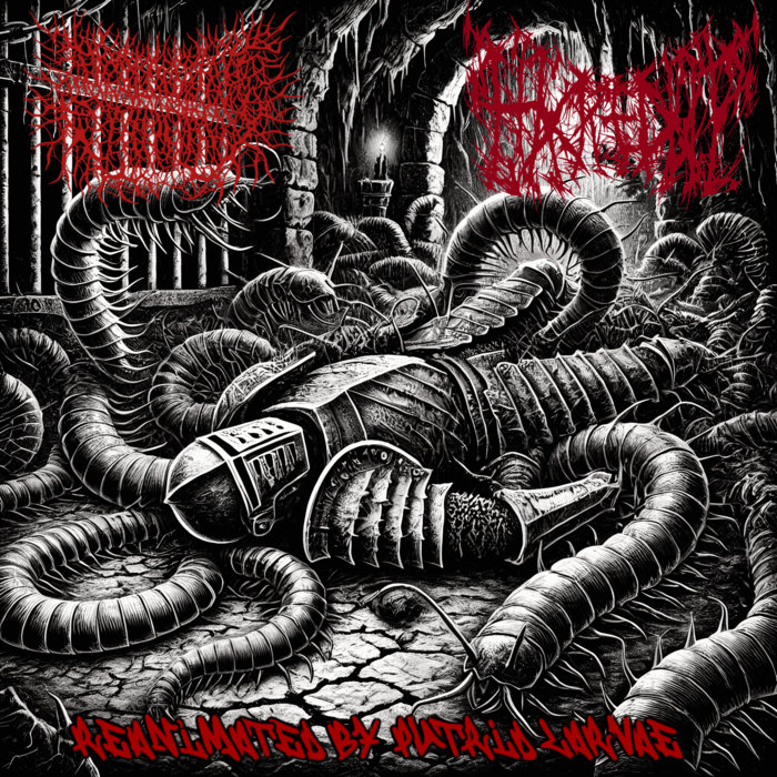 Reanimated By Putrid Larvae | Desecrated Extinction & Hacked Up ...