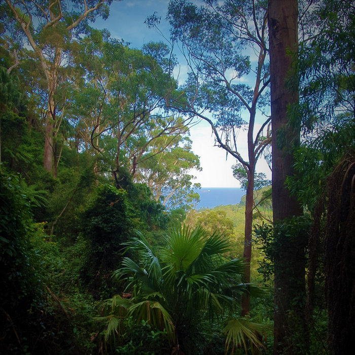 Wodi Wodi Track | Tay Hikes