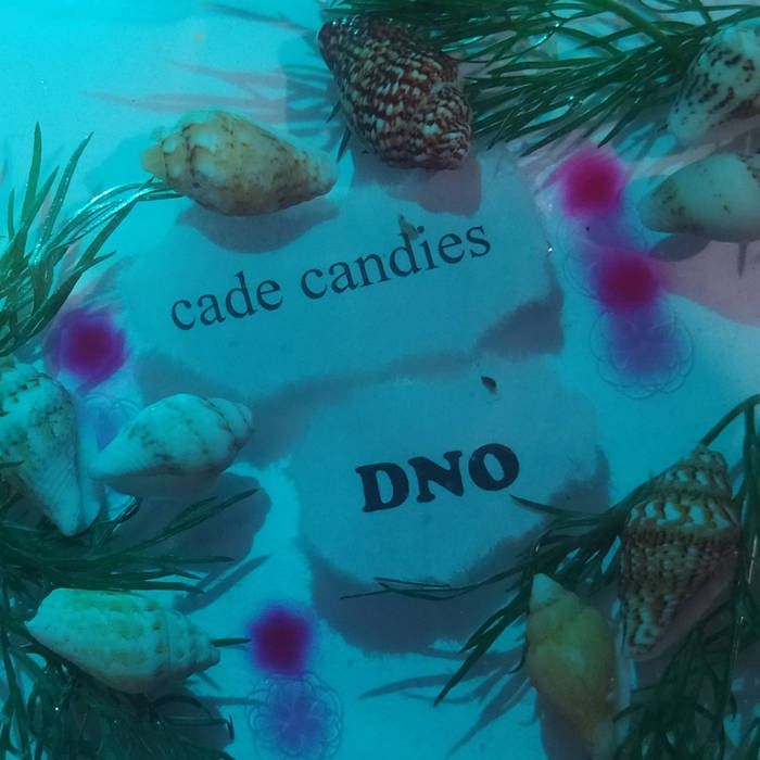 Dno | Cade Candies