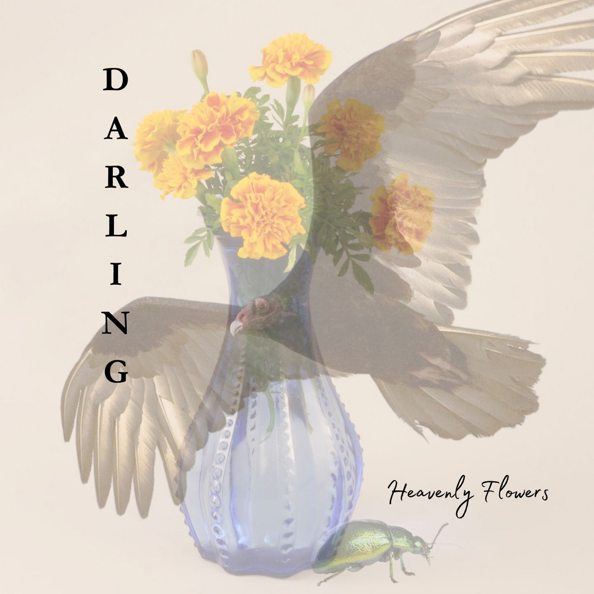 Darling | Heavenly Flowers ~ Casey Gina & Eden Orlando | Heavenly Flowers