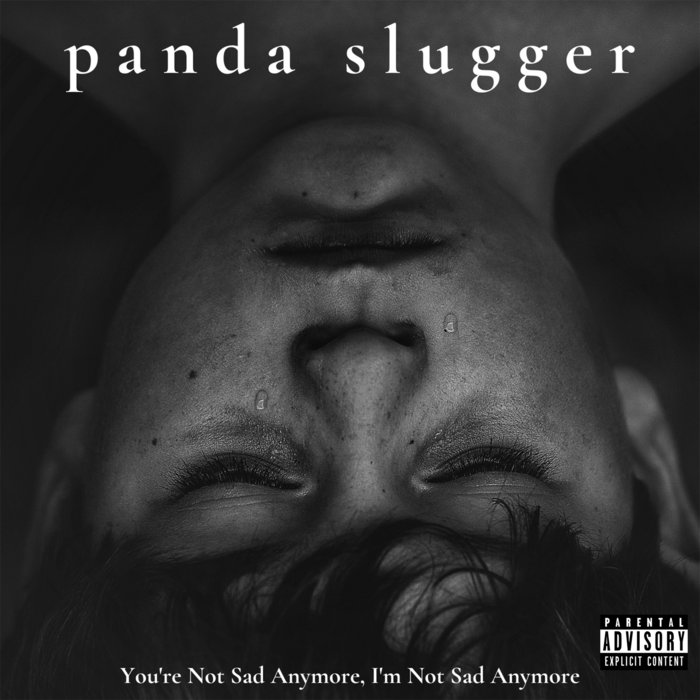 You're Not Sad Anymore, I'm Not Sad Anymore | panda slugger